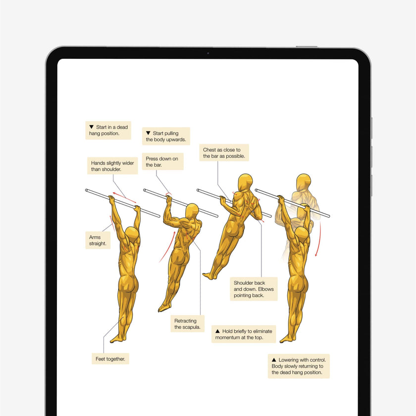 How to do your First 10 Muscle Ups (for Beginners) – Gravgear AU