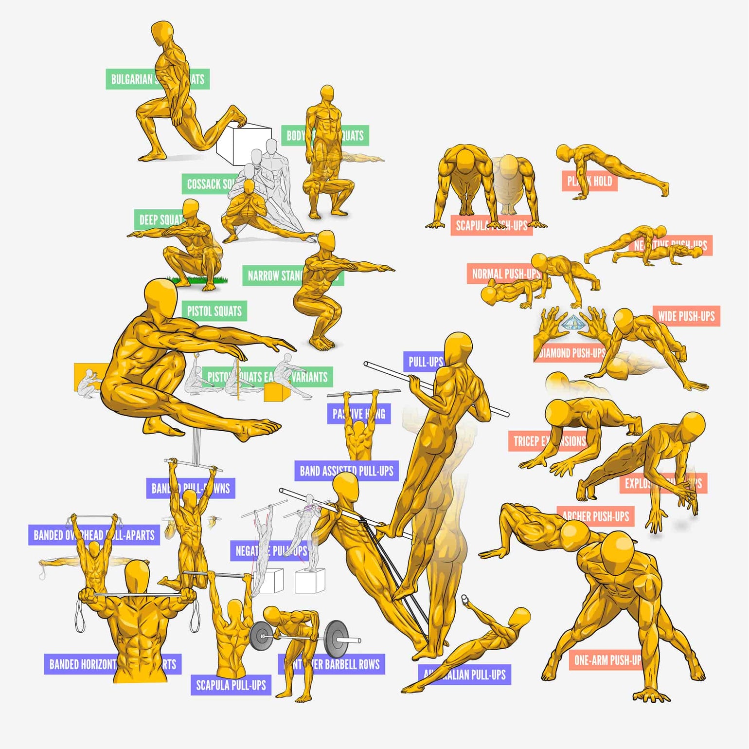 Calisthenics Playbook for Push Pull Squat (Digital book) – Gravgear AU